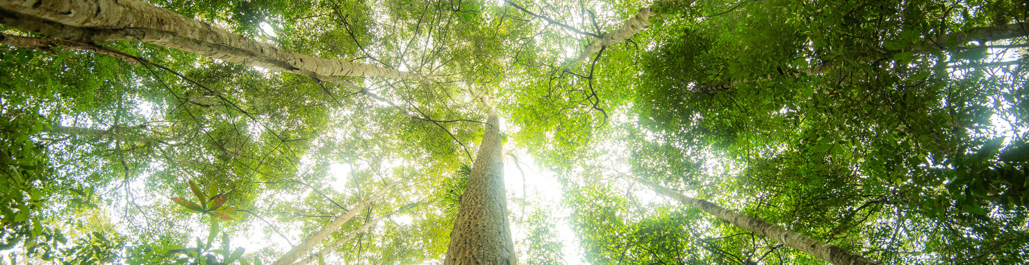 Earth Month at the MOST – Milton J. Rubenstein Museum of Science ...