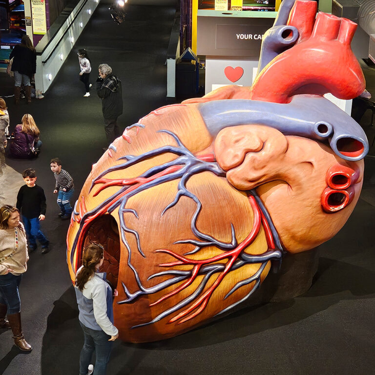 Life Sciences – Milton J. Rubenstein Museum of Science & Technology