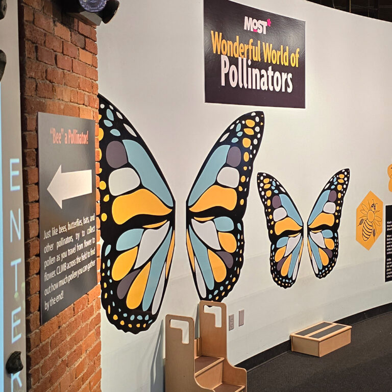 Wonderful World of Pollinators – Milton J. Rubenstein Museum of Science ...