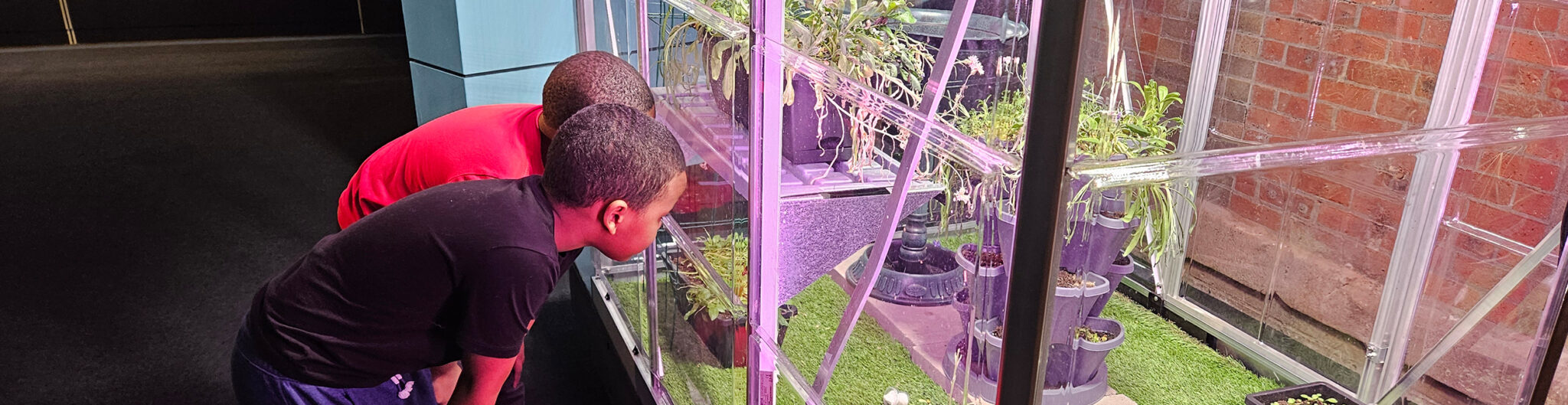 Educator Exhibit Guides – Milton J. Rubenstein Museum of Science & Technology